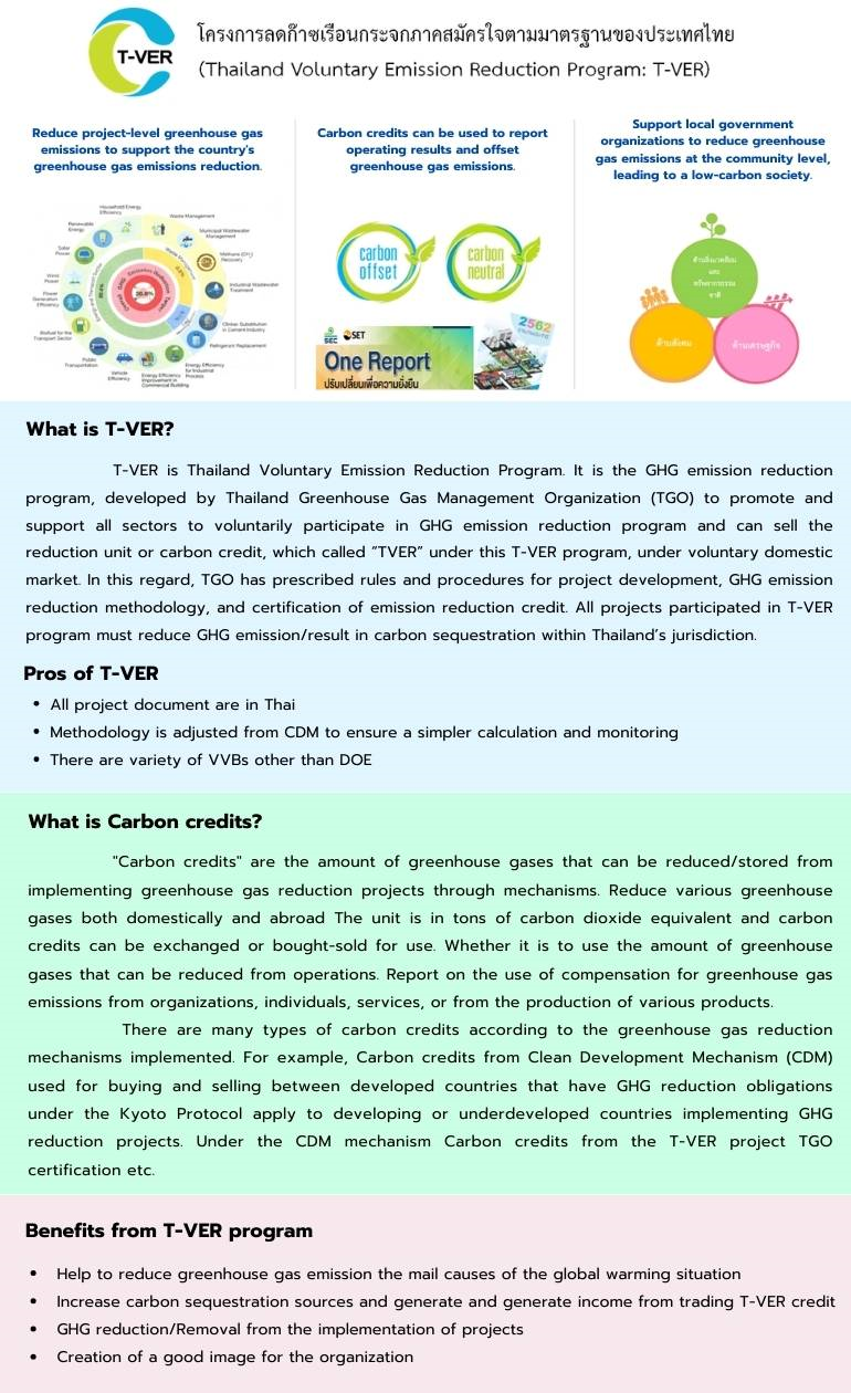What is Standard T-VER?